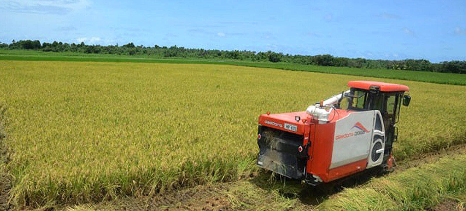 Grace Road Food Company Building The Largest Rice Milling Factory In Fiji